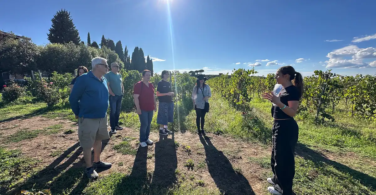 Frascati and Marino Food and Sightseeing Tour with Wine Tasting ...
